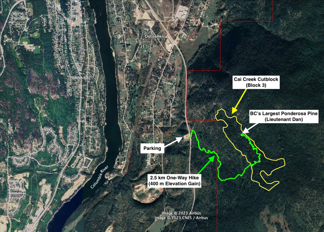 Hike Cai Creek – Save Cai Creek